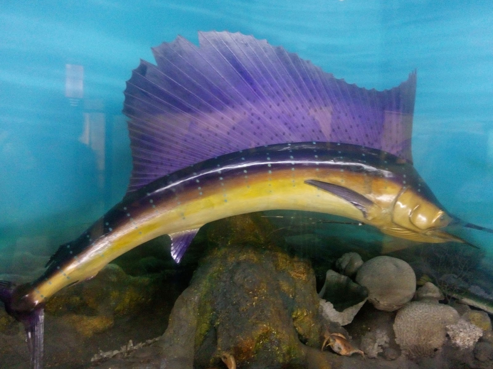 Trip to the Indian Museum, Kolkata